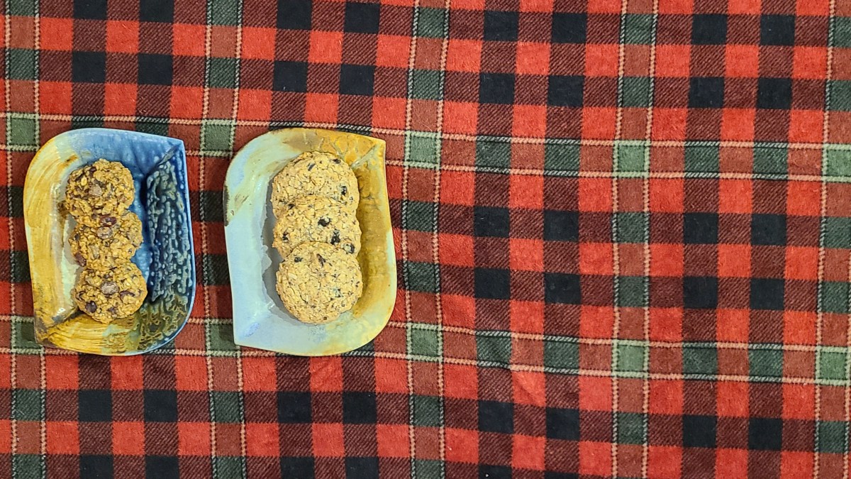Elizabeth: Cherry & Dark Chocolate Lactation Cookies – Rev. Drew Weseman